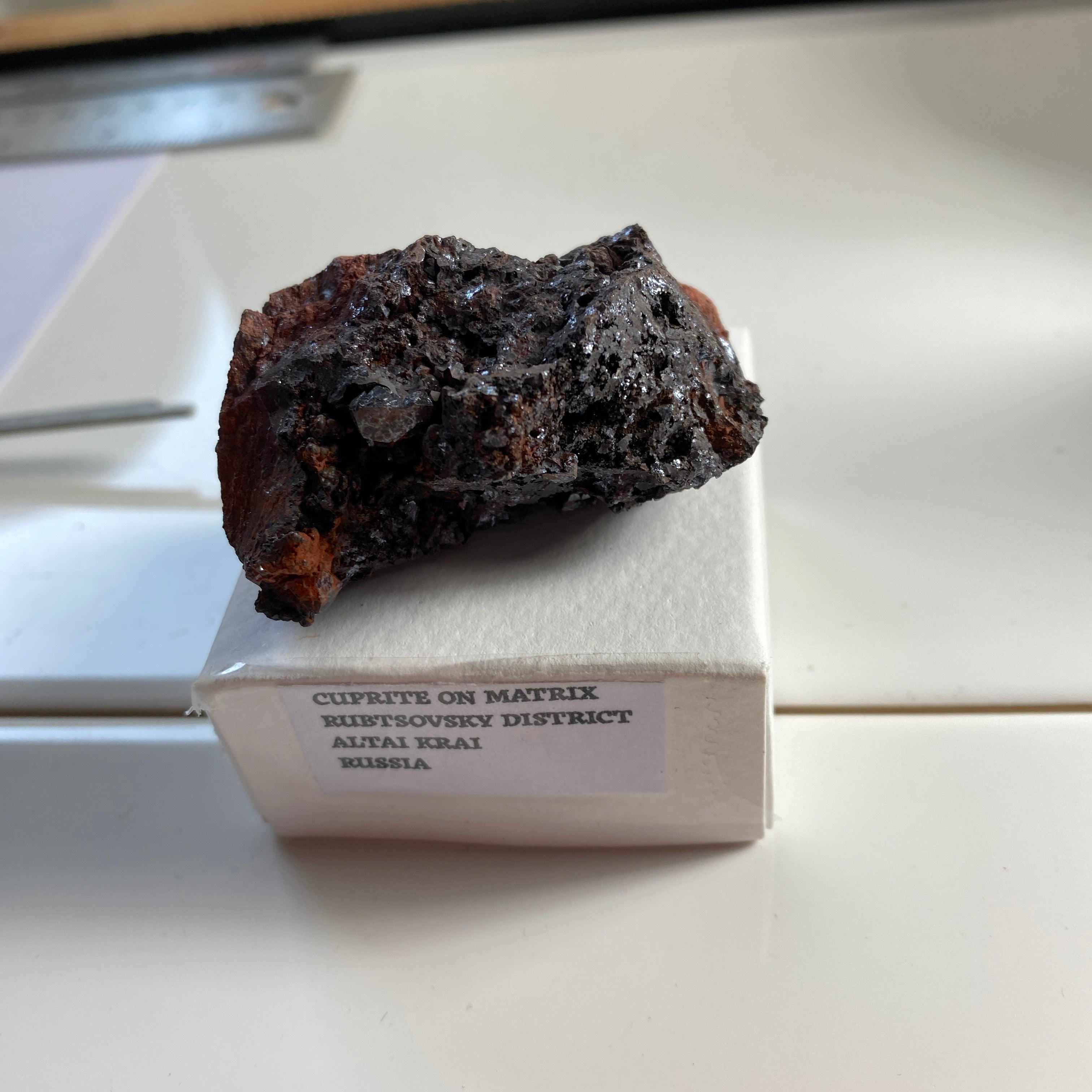 CUPRITE [ETC] - RUBTSOVSK MINE, ALTAI KRAI, RUSSIA 71g. MF3172 – MF ...