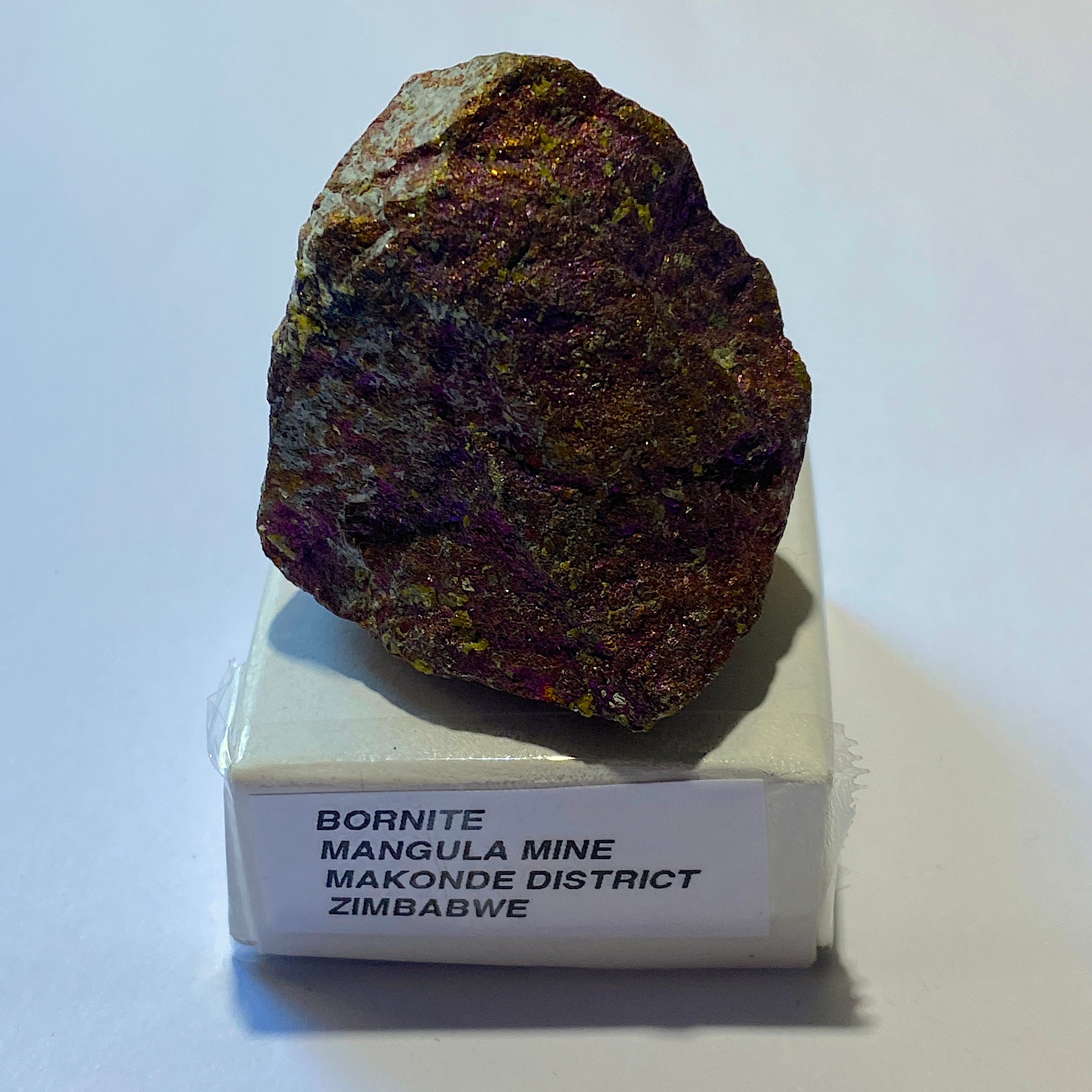 BORNITE COPPER ORE - MANGULA MINE, ZIMBABWE, AFRICA 68g MF4491 – MF ...